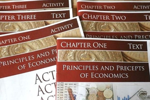 Easy to Use High School Economics Curriculum