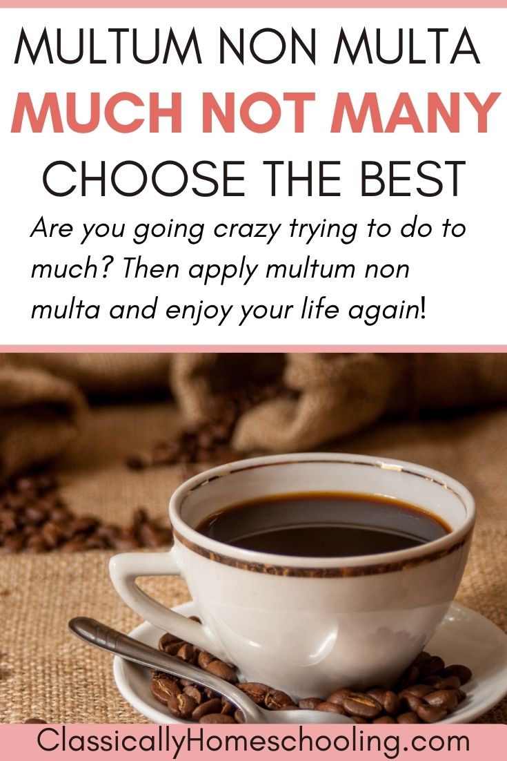 Multum non Multa: Choosing the Best